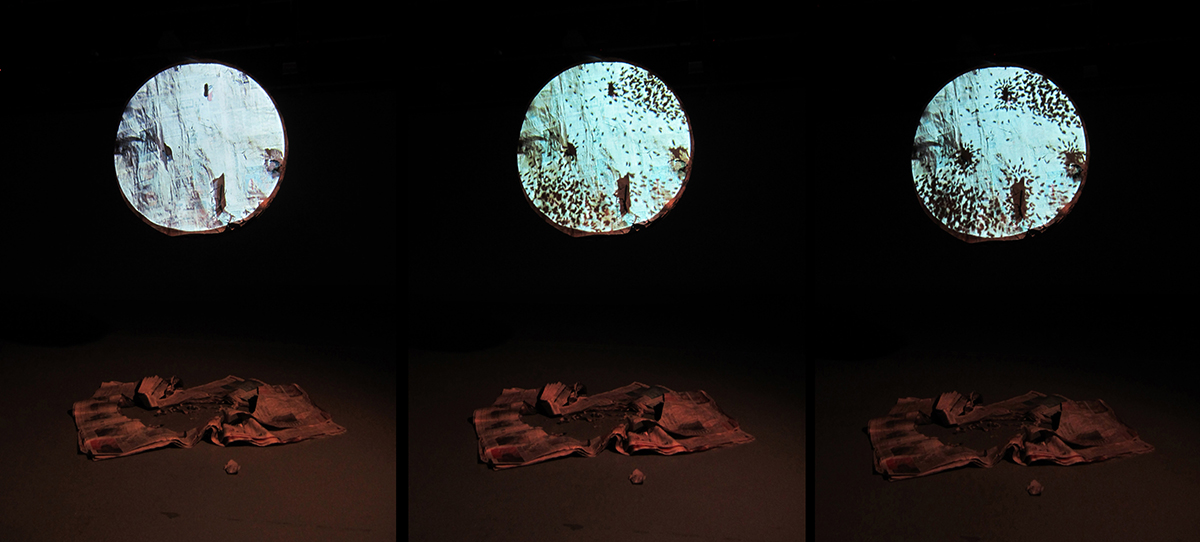 In The Spotlight: Lauren Edmonds | Engage Arts